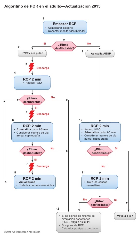 Nuevas directrices: Guías de la AMERICAN HEART ASSOCIATION del 2020